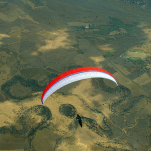 Performance-Gleitschirm - MANA 2 - UP International GmbH - Einsitzer