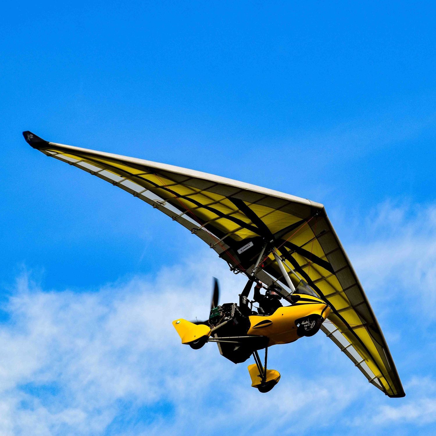 Avion pendulaire monoplace - Skypper Evo BioniX15² - AIR CREATION - à ...