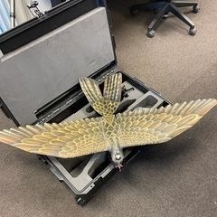 Fixed-wing drone - Falcon - The Drone Bird Company - professional ...