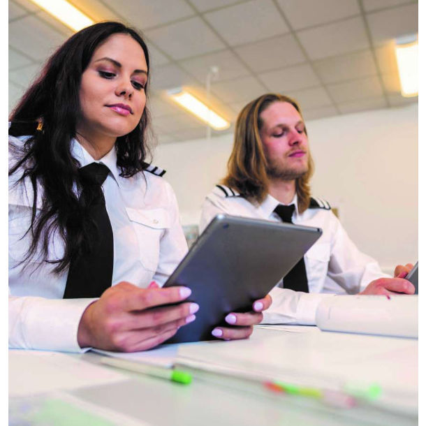 Management software - CAE - security / process