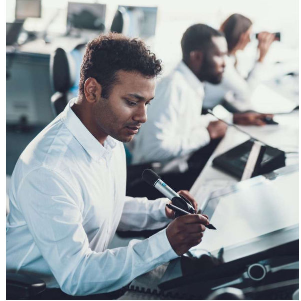 Management software - CAE - analysis / flight planning / automation