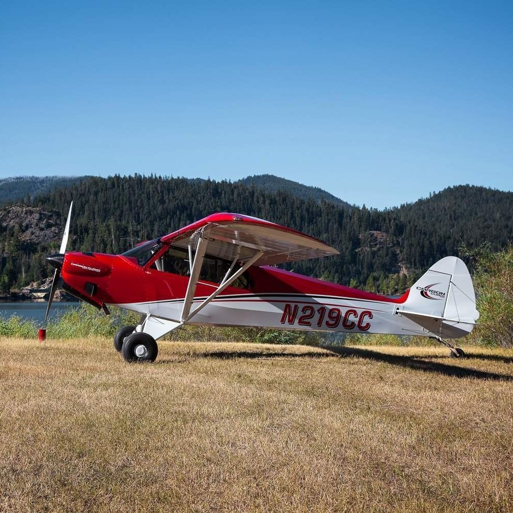 Instructional aircraft - Carbon Cub FX series - HORUS AERO - tourist ...