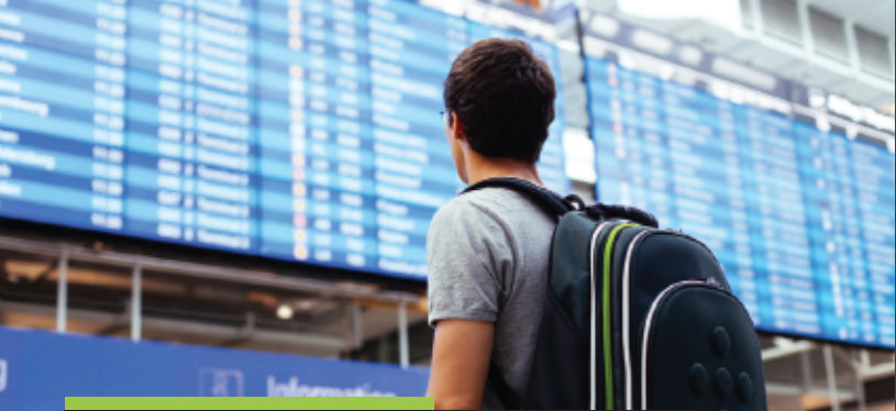 Airport FIDS - FiNDnet FIDS - Damarel Systems International