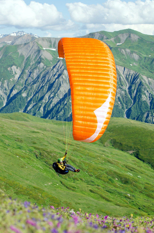 Performance speed flying wing - Whizz - NERVURES - mountain / single place