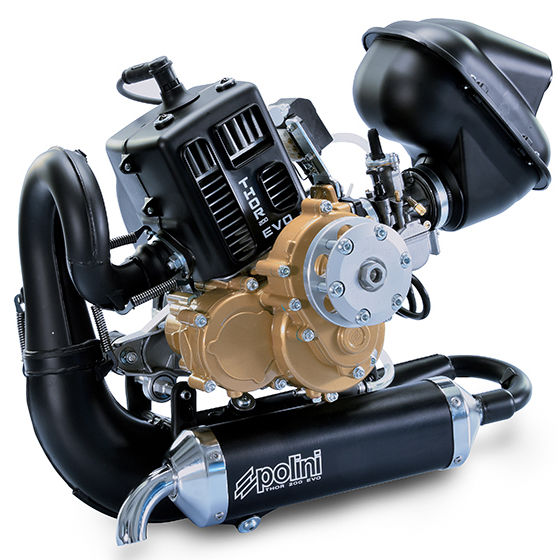 10 - 50hp piston engine - Thor 200 EVO - POLINI MOTORI SPA - 10 - 50kg ...