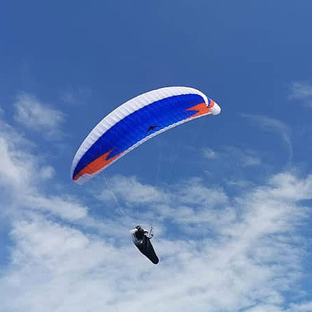 Sport paraglider - honey-3 - WINDTECH - performance / single place
