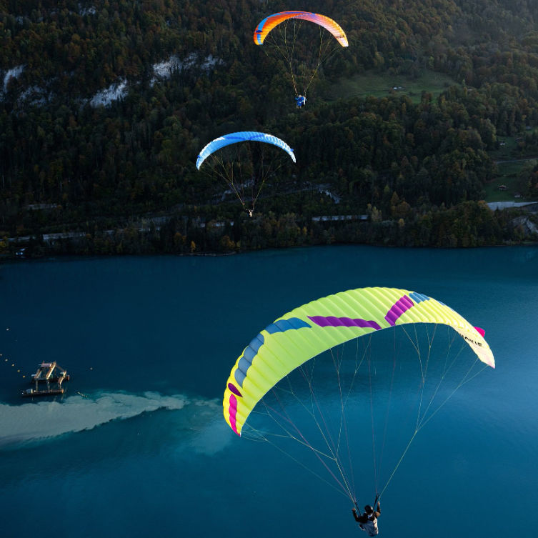 Progression paraglider - Moxie - Ozone DA - performance / single place
