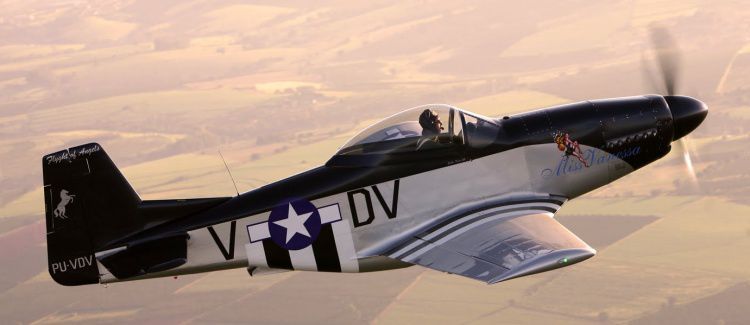 Titan T 51b Mustang