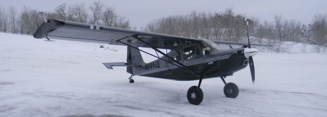 2-person private plane - Denali Scout - American Champion Aircraft ...