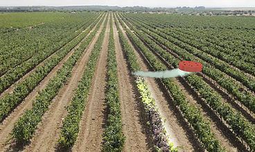Professional UAV - drone hopper - DRONE HOPPER - agricultural / rotary wing