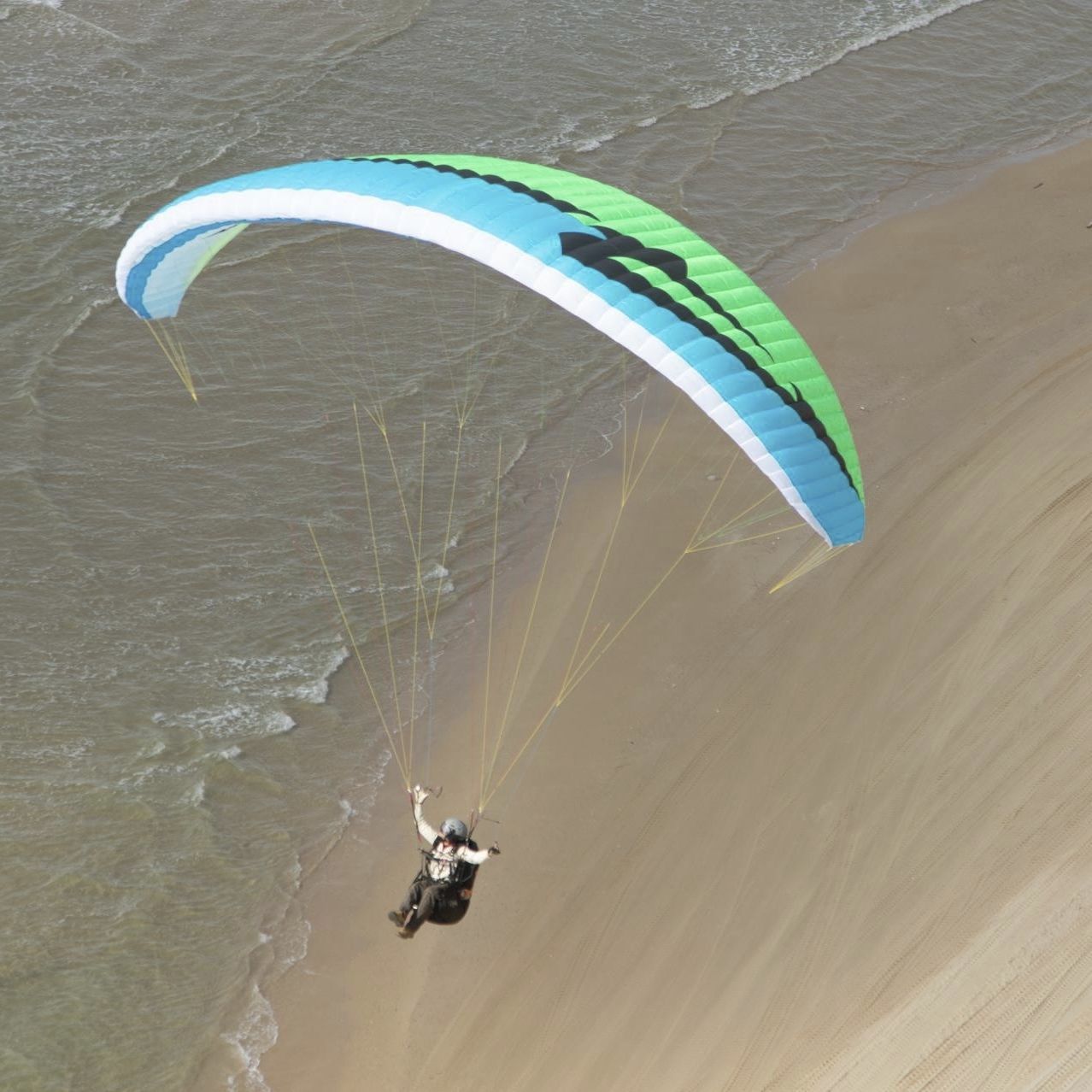 Performance paraglider - Vista V - APCO - racing / single place