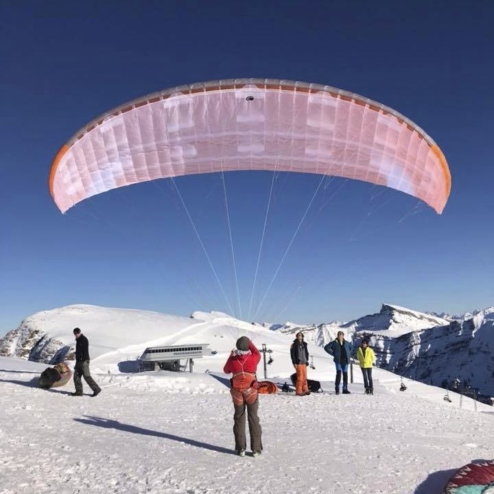 Performance paraglider - COSMOS - Axis - single place