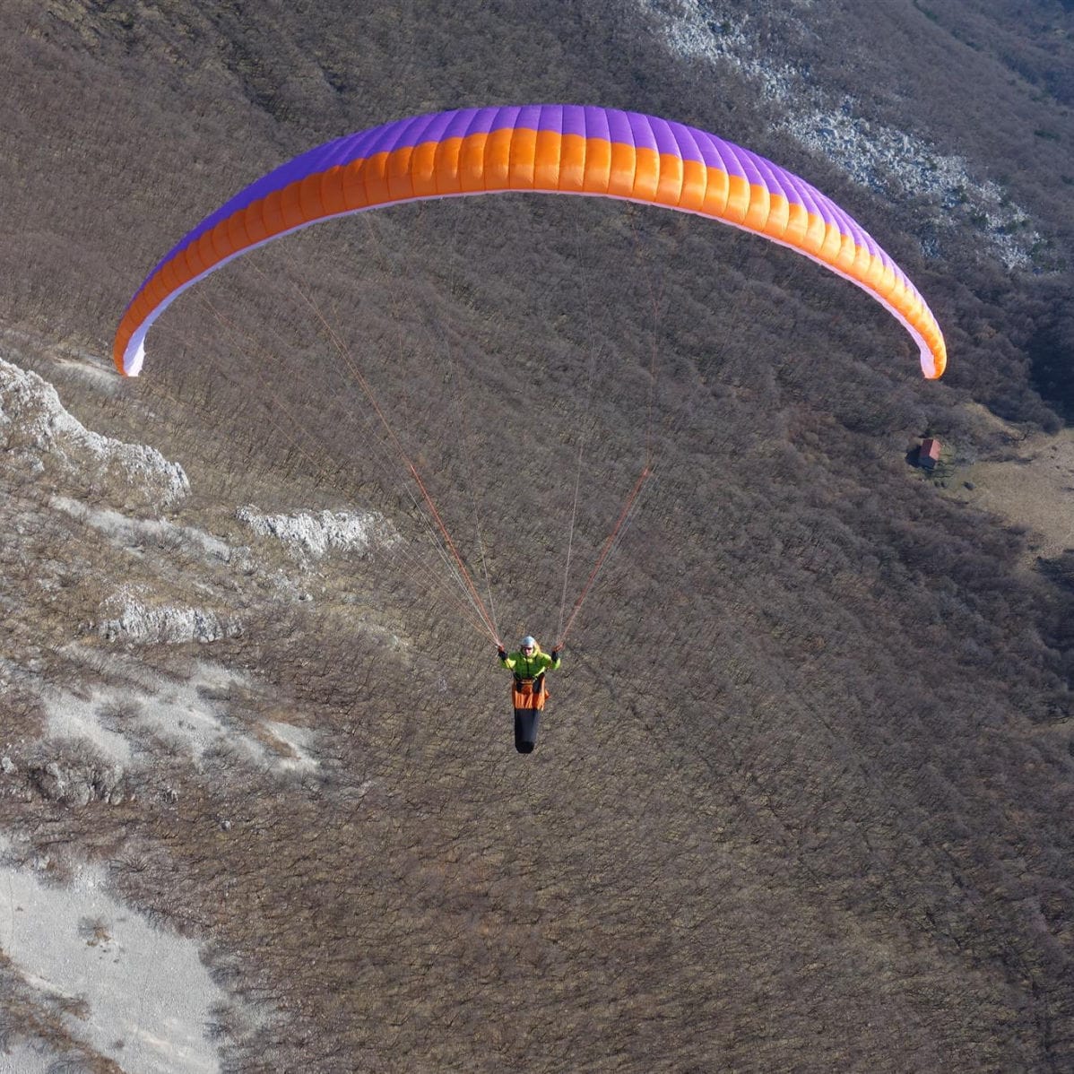 Sport paraglider - VENUS SC - Axis - single place