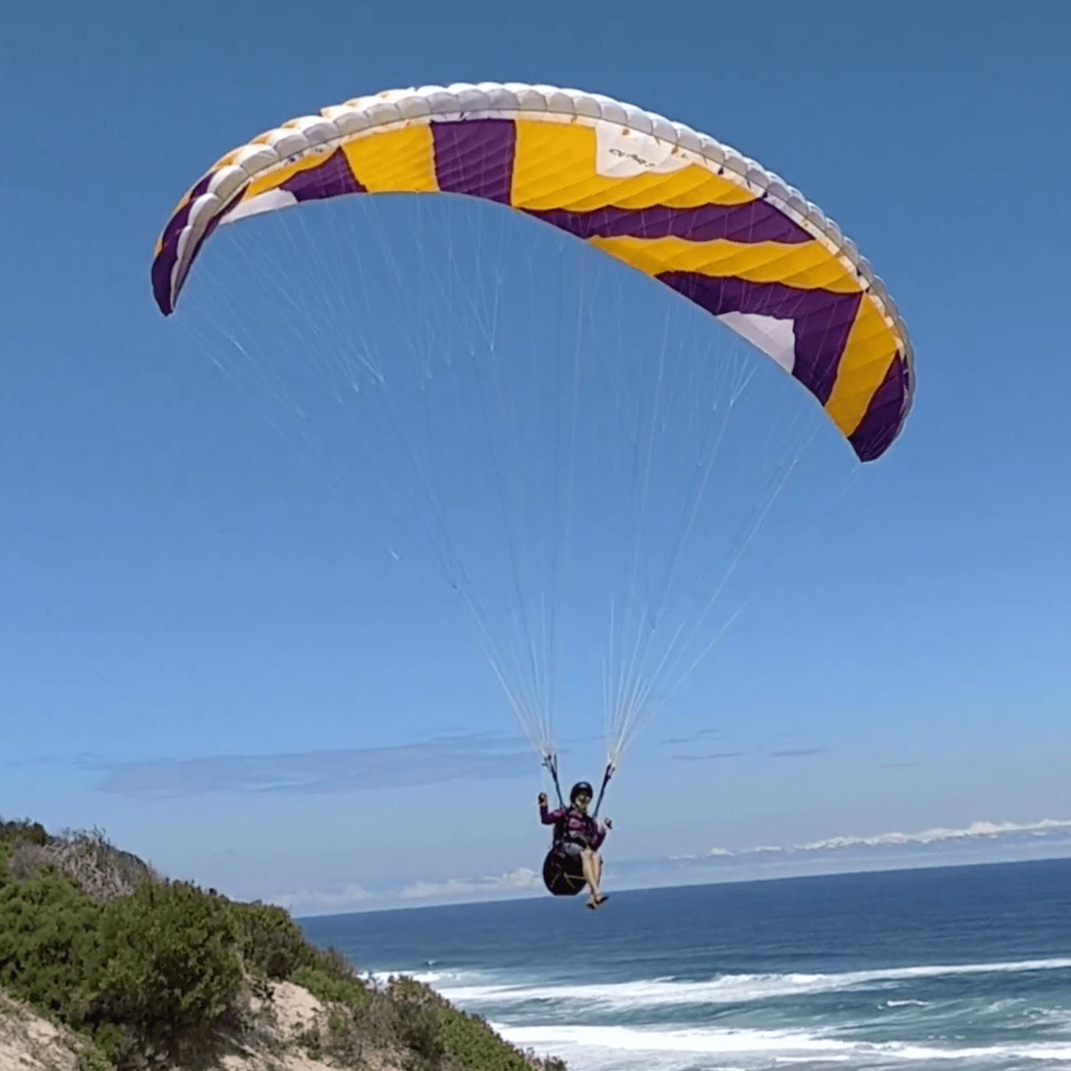 Performance paraglider - CUGA 3 - Pro Design - single place