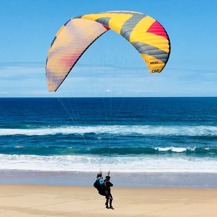 Performance paraglider - PLUS ONE - Pro Design - tandem