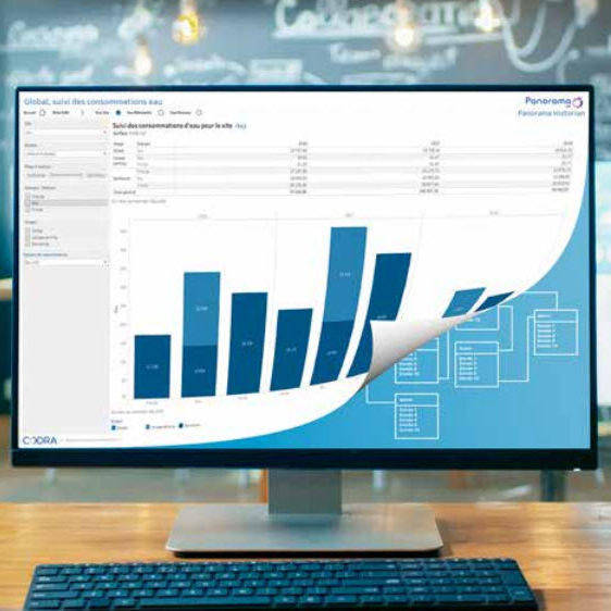 Reporting software - Panorama H2 - CODRA - data analysis / server / for ...