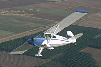 Two-seater aircraft, Tandem aircraft - All the aeronautical manufacturers