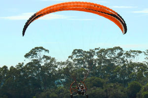 Performance paramotor wing - Flexus 2 - SOL PARAGLIDERS - single place
