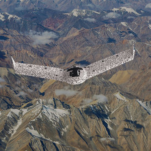 Professional UAV - eBee VISION - senseFly - reconnaissance ...