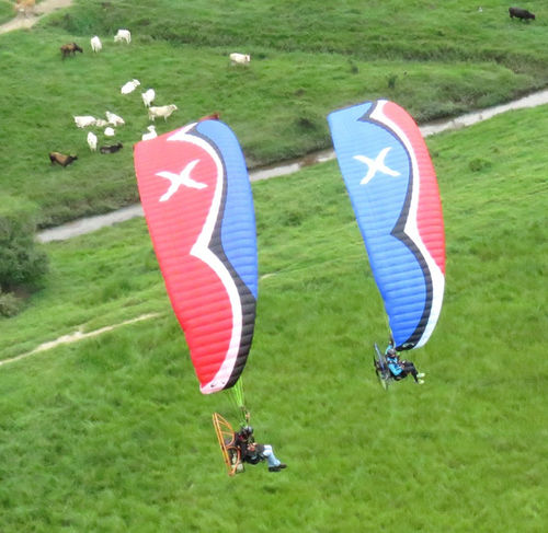 Performance paramotor wing - Effect XT - SOL PARAGLIDERS - single place