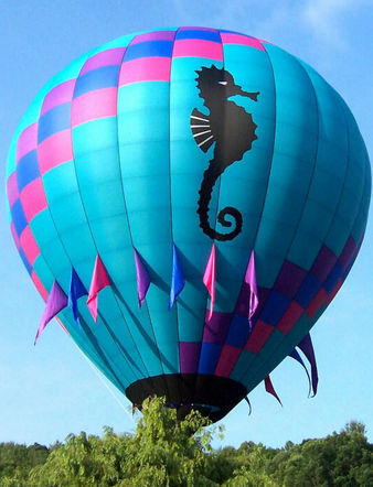 Passenger hot-air balloon - AX9-118 - Head Balloons, Inc. - 0 - 5 Pers ...