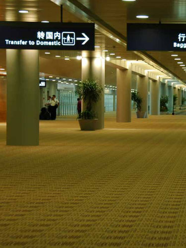 Airport carpet - Antron Carpet Fiber - nylon