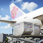 Cargo high loader, Cargo loading platform - All the aeronautical ...