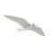 Bird control drone - Falcon - The Drone Bird Company - professional ...