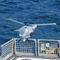 Professional UAV - Alpha A900 - Alpha Unmanned Systems - aerial ...