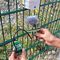 Intrusion detection system - SIOUX PRO 2 - CIAS elettronica - fence ...