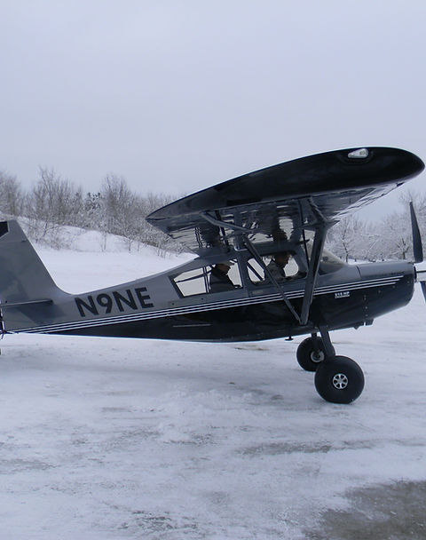 Avião acrobático - DENALI SCOUT 8GCBC - American Champion Aircraft ...