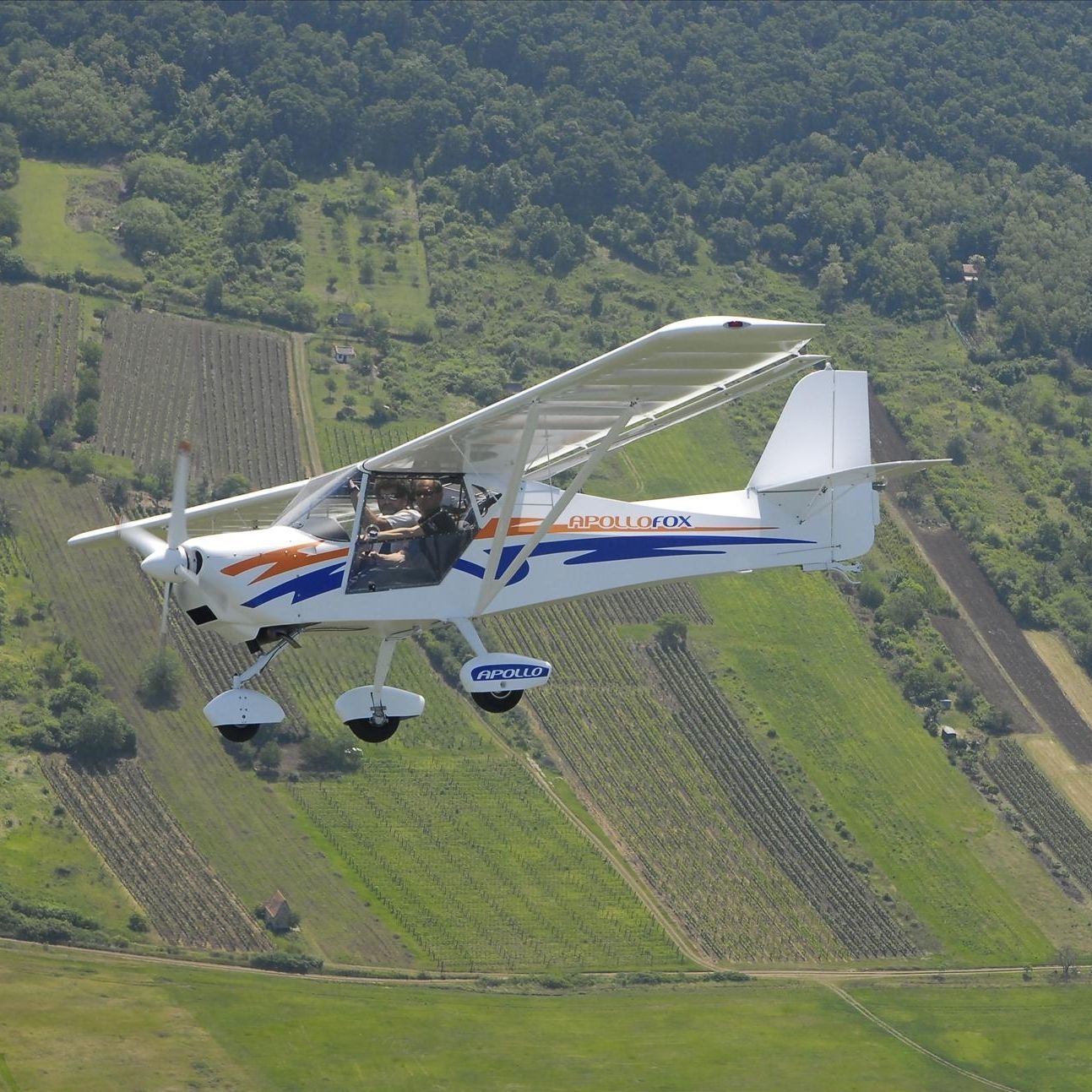 Ultraleve motorizado de 2 lugares - Fox - Apollo Aircrafts - com motor ...